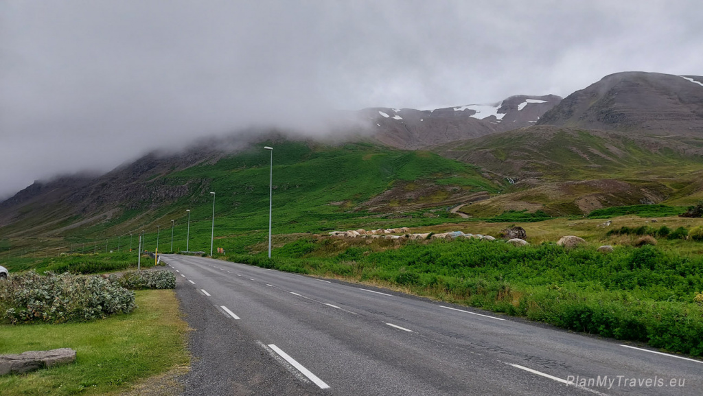 Półwysep Trolli - północna Islandia - blog: PlanMyTravels.eu